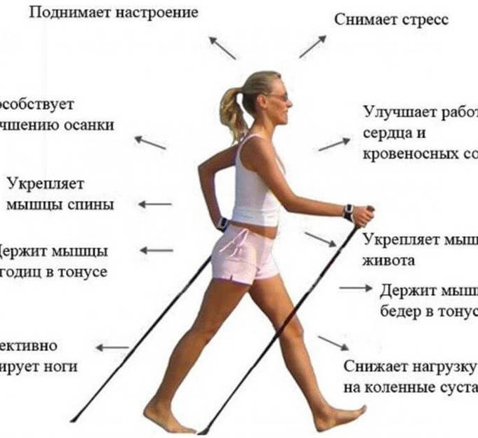 Скандинавская ходьба: Веские причины для ходьбы с палками